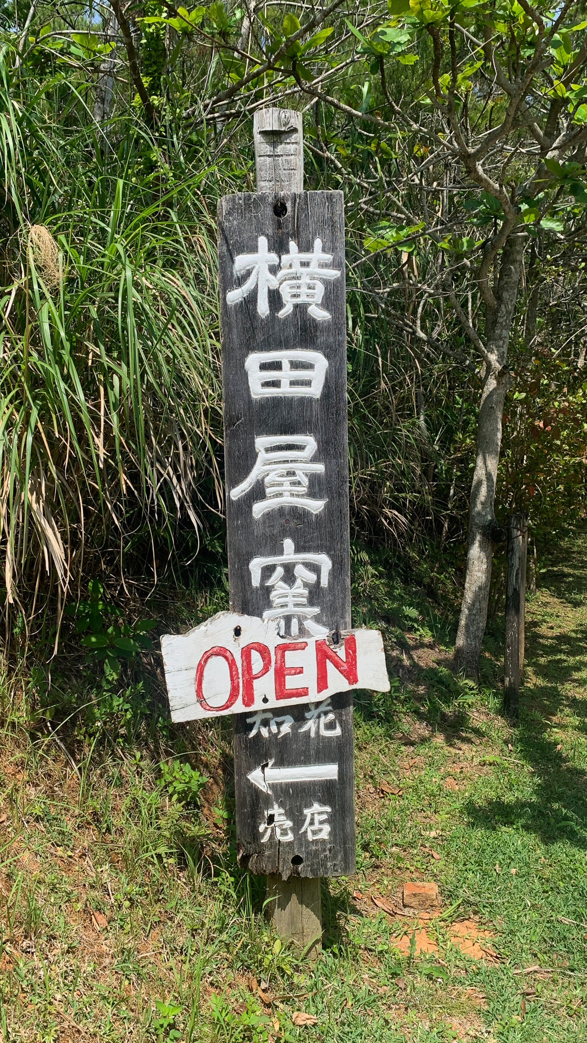 Yukutayagama: Okinawa Yachimun Pottery – Tencha